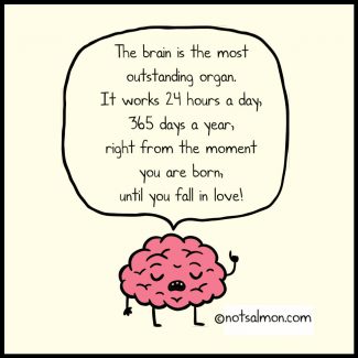 20 Funny Quotes About Life And Hilarious Sayings About Life