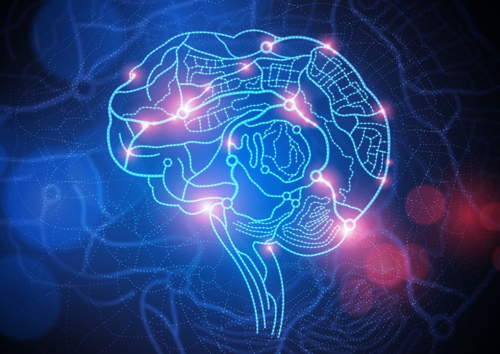 A Happy Gut Gives You A Happier And Smarter Brain - Karen Salmansohn
