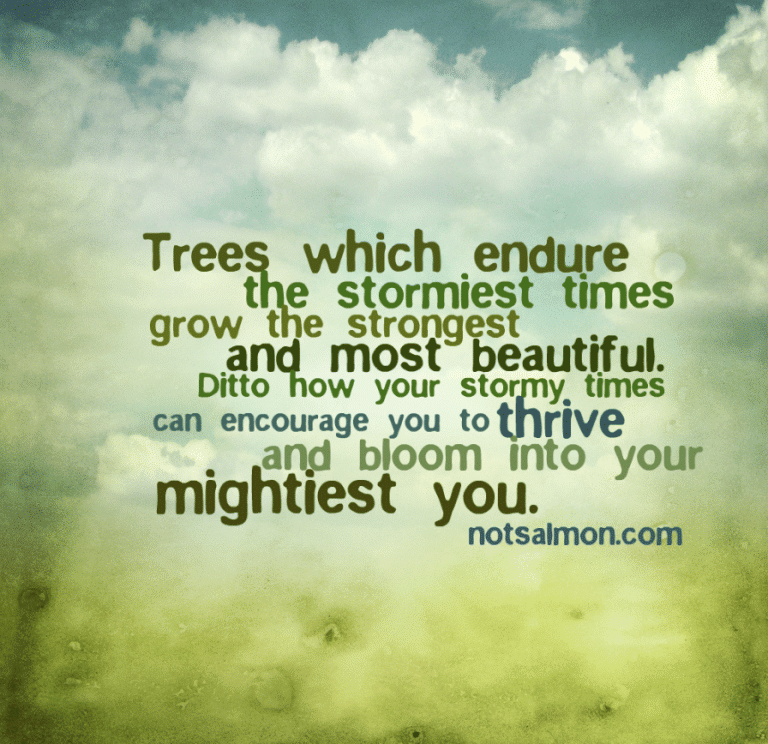 14 Beautiful Quotes On Life and Sayings On How Life Is Beautiful