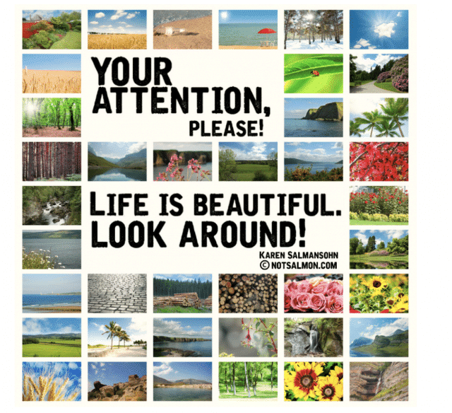 14 Beautiful Quotes On Life and Sayings On How Life Is Beautiful