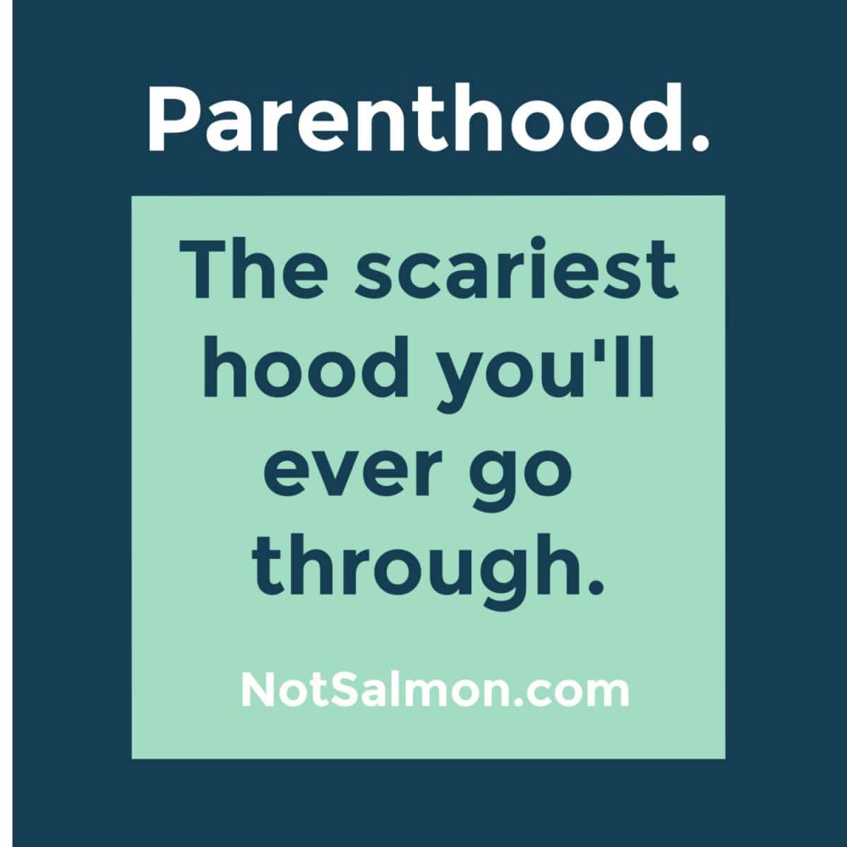 Stress Free Baby Care 101 for First-Time Parents - Karen Salmansohn