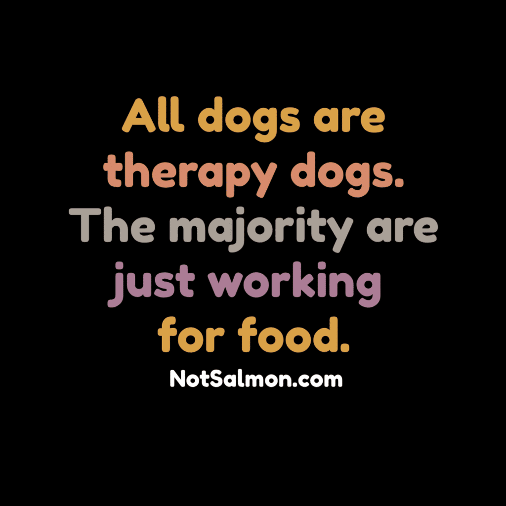 The Amazing Ways A Dog Can Help You Feel Happier And Healthier