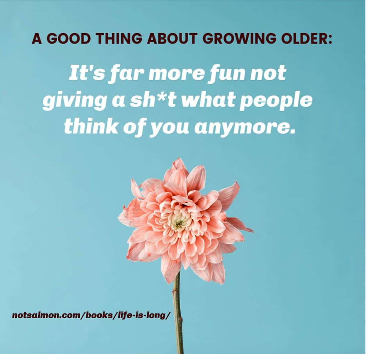 Getting Better with Age Is A Researched Fact! Older and Wiser is True.
