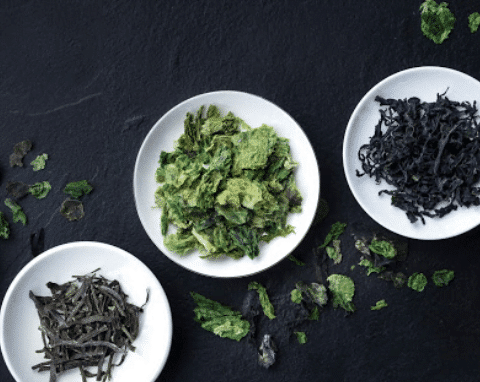 5 Reasons To Incorporate Sea Vegetables Into Your Diet