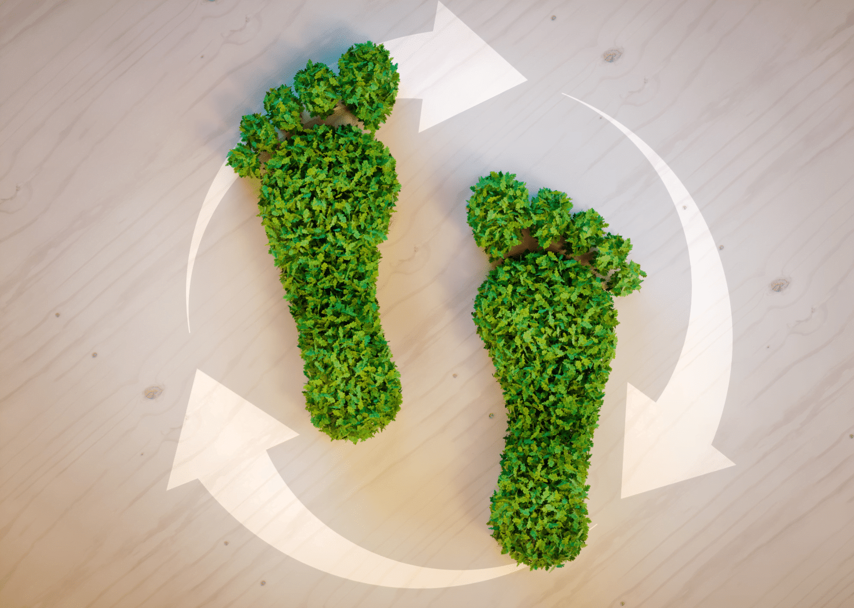 5 Sustainable Living Ideas You Can Do Immediately - Karen Salmansohn