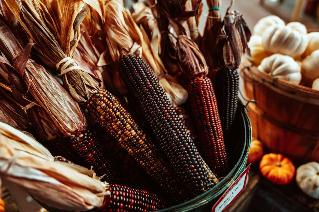 10 Fun and Non-Traditional Ways to Celebrate Thanksgiving